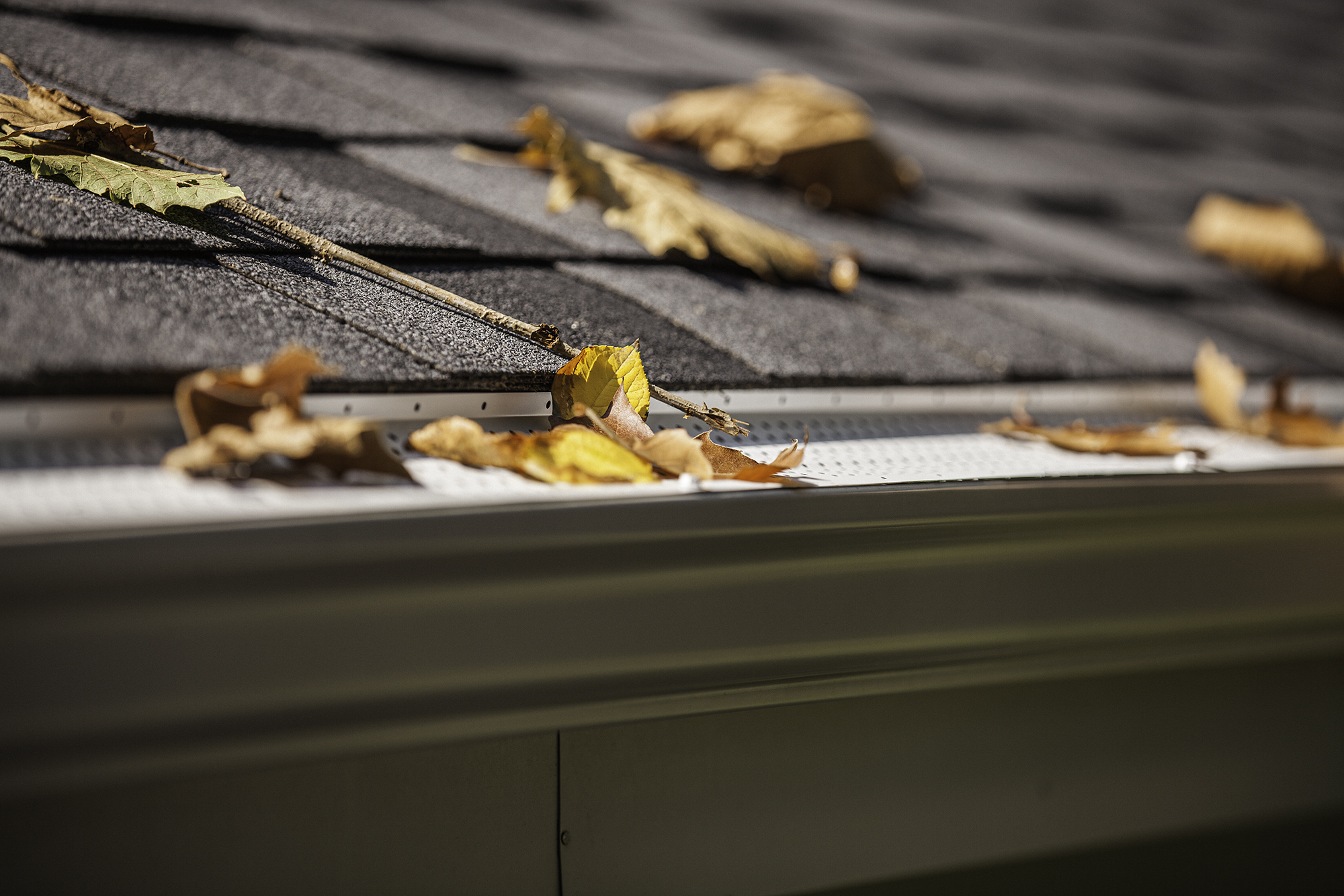 GutterRx - Taylor Home Improvement